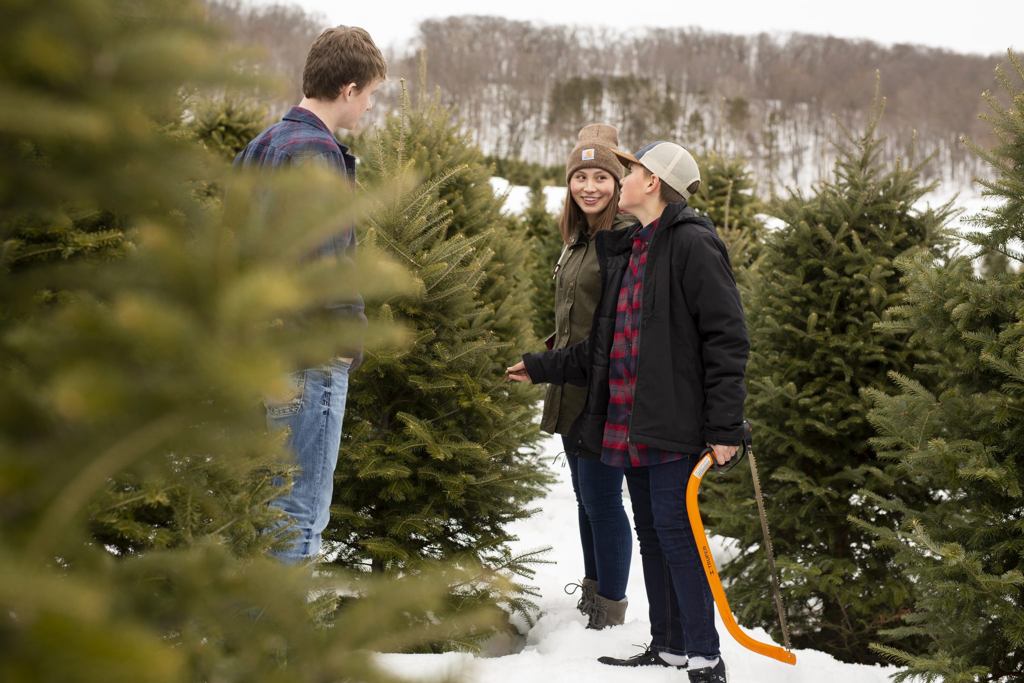 Pleasant Valley Tree Farm - Pleasant Valley Tree Farm
